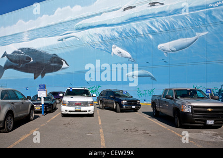 Whale graffiti. Parking lot. Anchorage. Alaska. USA Stock Photo - Alamy