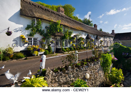 Branscombe Village Devon England UK Stock Photo: 57948152 - Alamy