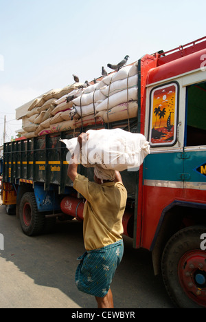 Indian man carrying a sack of rice on his head on a field ...