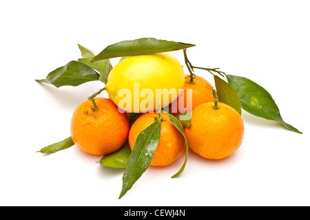 Ripe cytrus on white background Stock Photo - Alamy