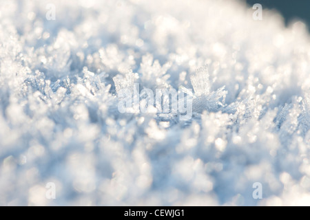 ice crystals in the backlight Stock Photo - Alamy