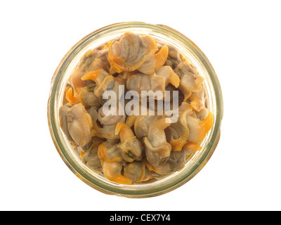 Jar of Cockles Stock Photo - Alamy