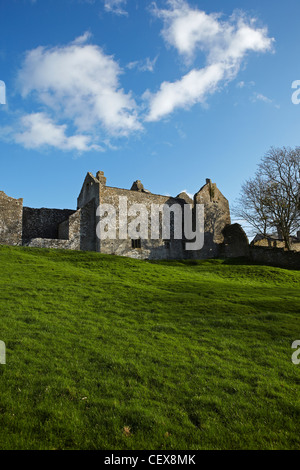 Old Beaupre Castle, Vale of Glamorgan, Wales, UK Stock Photo - Alamy