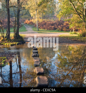 Autumn Stepping Stones across Sher Brook, Sherbrook Valley, Cannock ...