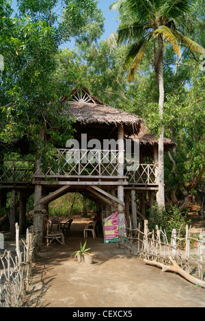 Ponnumthuruthu Island Temple in Kerala,India. Shiva temple in Golden ...