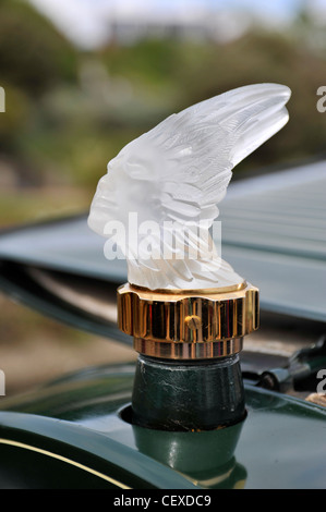 lalique glass radiator cap Stock Photo - Alamy