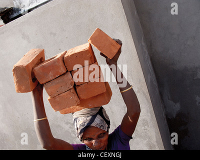 A female labourer carrying bricks in India Stock Photo - Alamy