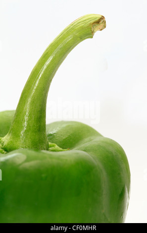 pepper detail isolated vegetable healthy green food aliment pepper ...