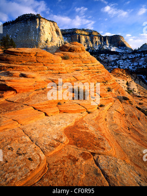 Beehive rock formations of Zion National Park in southern Utah, USA ...