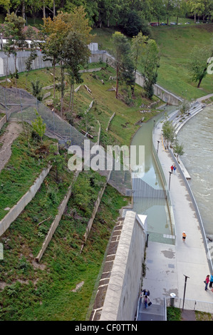 Bear pit, Aare, Bern, canton, Bern, animals, animal, zoo animal park ...