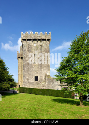 Blarney Castle, medieval stronghold in Blarney, near Cork, known for ...