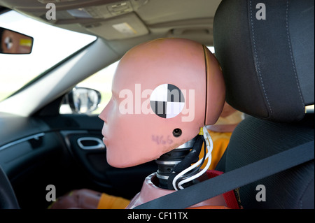 Crash Test Dummy In Car Airbag Stock Photo - Alamy