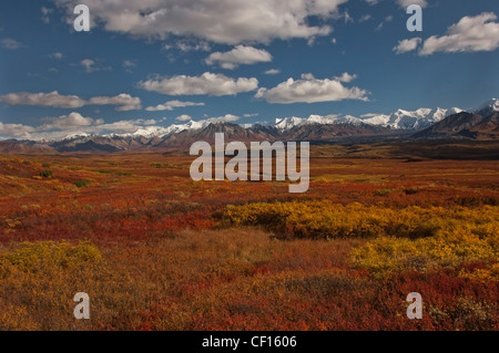 Autumn tundra and snow covered mountains in Lofoten Norway Stock Photo ...
