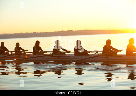 Team rowing boat in bay Stock Photo - Alamy