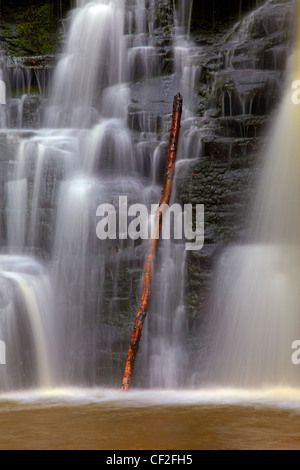 Harden Beck cascading over Goit Stock Falls in Goit Stock Wood Stock ...
