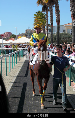 A jockey riding a horse at the Hipódromo de Las Américas located in ...