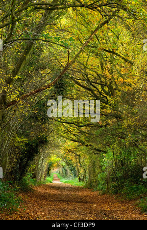 A view down the Nickey Line foot and cycle path. The former railway ...