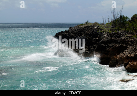 Coastal section of Spittal Pond Nature Reserve, Smith's Parish, Bermuda ...