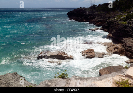 Coastal section of Spittal Pond Nature Reserve, Smith's Parish, Bermuda ...