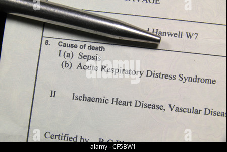 Close-up of UK death certificate Stock Photo - Alamy