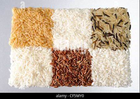 Six small squares of different varieties of rice from top left, brown ...
