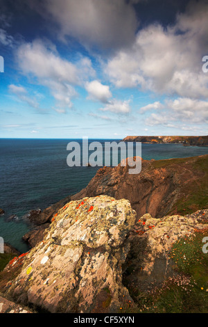 Looking across rocky coastline at Lizard Point Stock Photo - Alamy