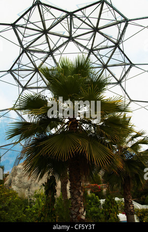 eden project construction Stock Photo - Alamy