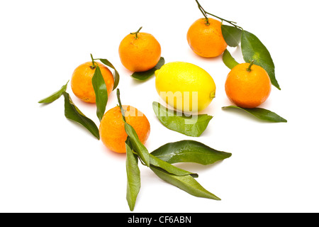 Ripe cytrus on white background Stock Photo - Alamy
