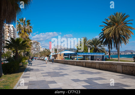 Paseo Maritimo de Pablo Ruiz Picasso seaside promenade and Malagueta ...