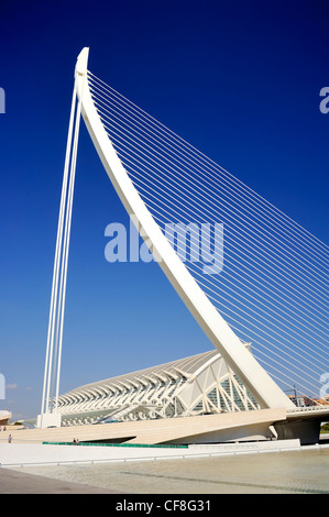 Assut d’Or bridge (aka Serreria Bridge) in Valencia designed by ...