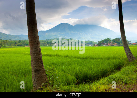 Guntur, Indonesia, Asia, Java, mountain, volcano, volcanism, geology ...