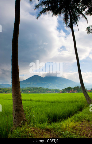 Guntur, Indonesia, Asia, Java, mountain, volcano, volcanism, geology ...