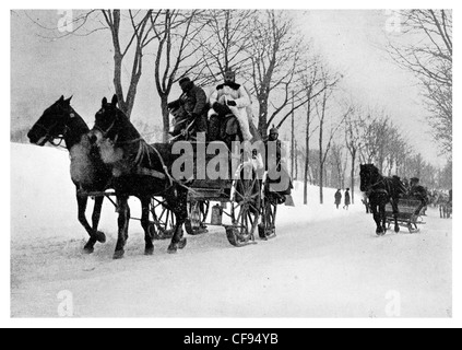 German horse-drawn wagons on the Eastern Front, 1941 Stock Photo - Alamy