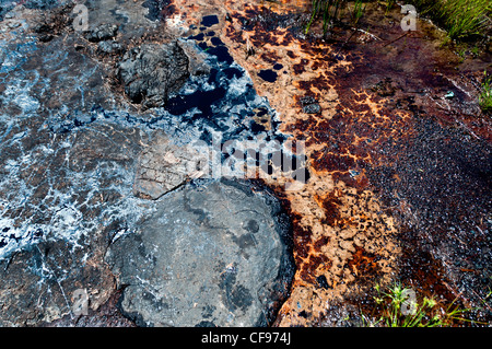 The Pitch Lake is the largest natural deposit of asphalt in the world ...