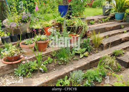 Garden wooden sleeper terrace and steps planted up with annuals Stock ...