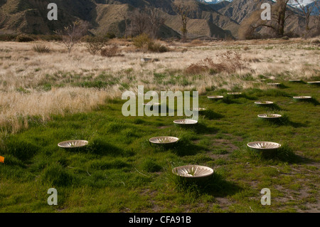 aqua pro, Holland, groasis, waterboxx, Whitewater preserve, California ...