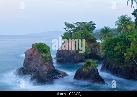 Coastal landscape in Trinidad and Tobago Stock Photo - Alamy