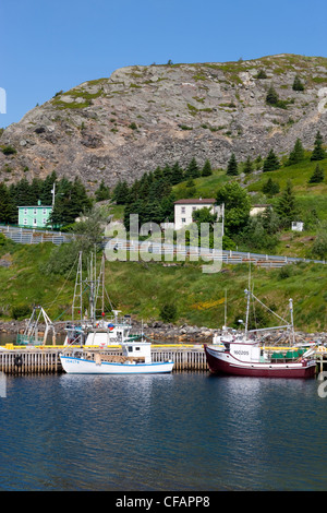 Fishing boats docked in a port with wooden walkway in Carrasqueira ...