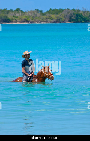 View of Buccoo Bay, Tobago with horse-riders in sea Stock Photo - Alamy
