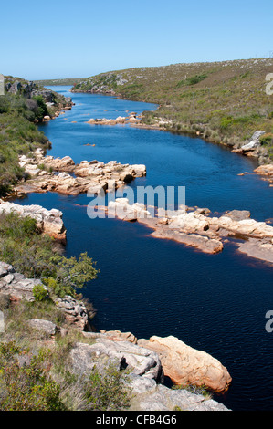 Palmiet River near Kleinmond Western Cape South Africa Stock Photo - Alamy