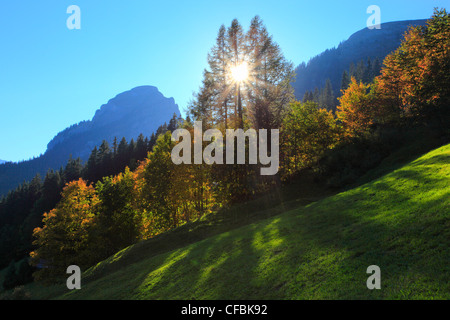 View, Sulwald, mountain wall, Switzerland, Europe, canton, Bern Stock ...