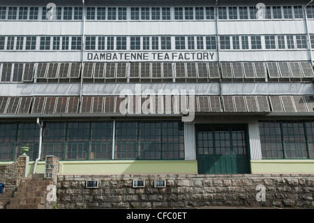 the main factory at the Dambatenne Tea Plantation, near Haputale, Sri ...
