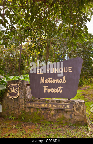 El Yunque National Forest, sign for the rainforest in Puerto Rico Stock ...
