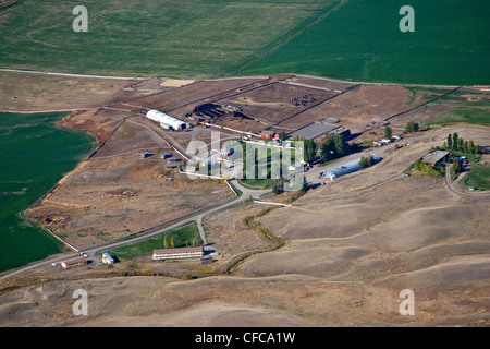 The Gang Ranch in British Columbia, Canada Stock Photo - Alamy
