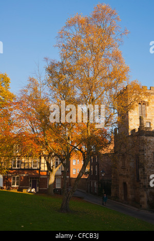 The Dun Cow, Durham City Stock Photo - Alamy