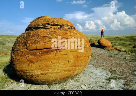 Sandstone concretions in Red Rock Coulee Natural Area, Alberta, Canada ...
