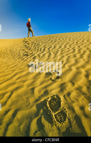 Hiking In The Great Sandhills; Sceptre Saskatchewan Canada Stock Photo ...