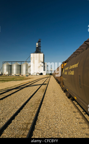 loading grain at inland grain terminal, Swift Current, Saskatchewan ...