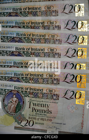 Bank of Ireland £20 notes. Issued by the Bank of Ireland in Belfast ...