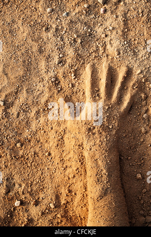 Hands and soil. Hands covered with soil Stock Photo - Alamy